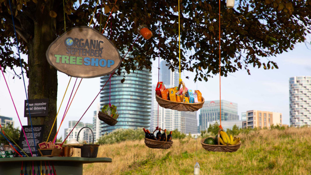Branching out: UK’s first pop-up shop in a tree to celebrate Organic ...