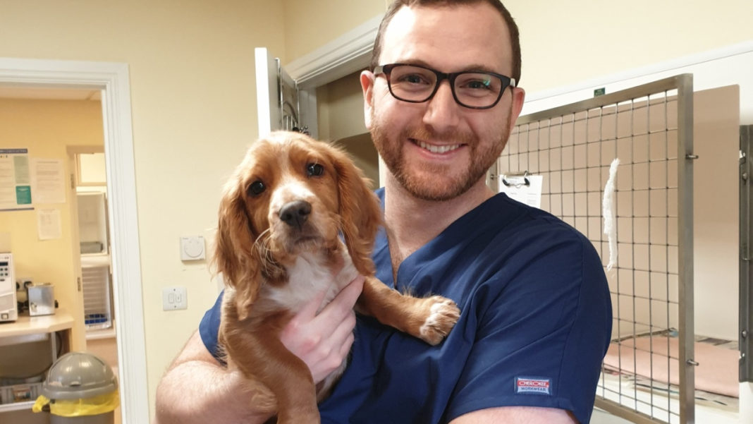 Farnham vets Cathcart and Winn appoint James Cole as new clinical ...