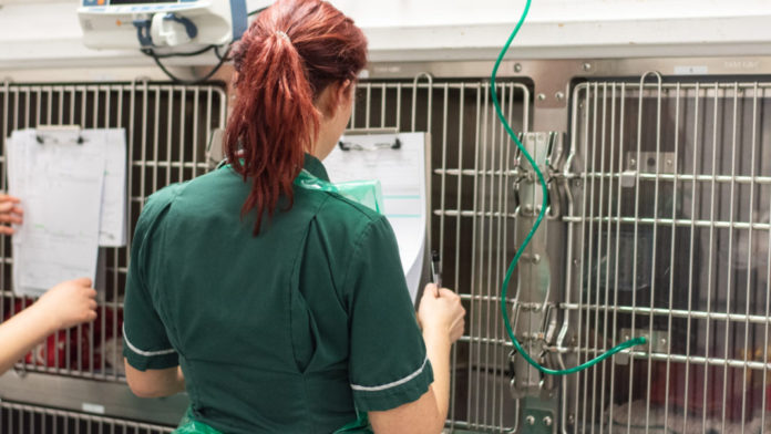 Linnaeus leads veterinary industry with unique nursing appointments ...