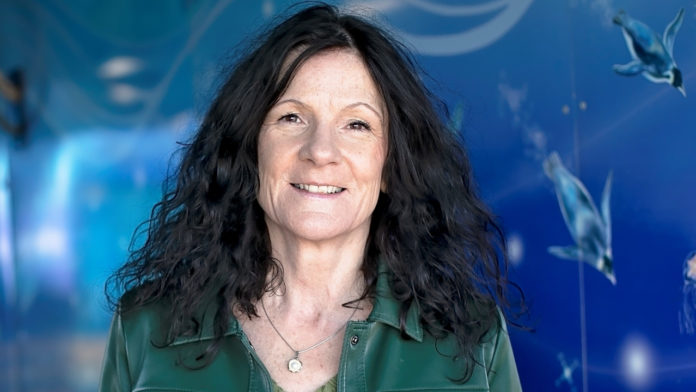 Businesswoman Fulfils Lifelong Dream With First Novel Published ...