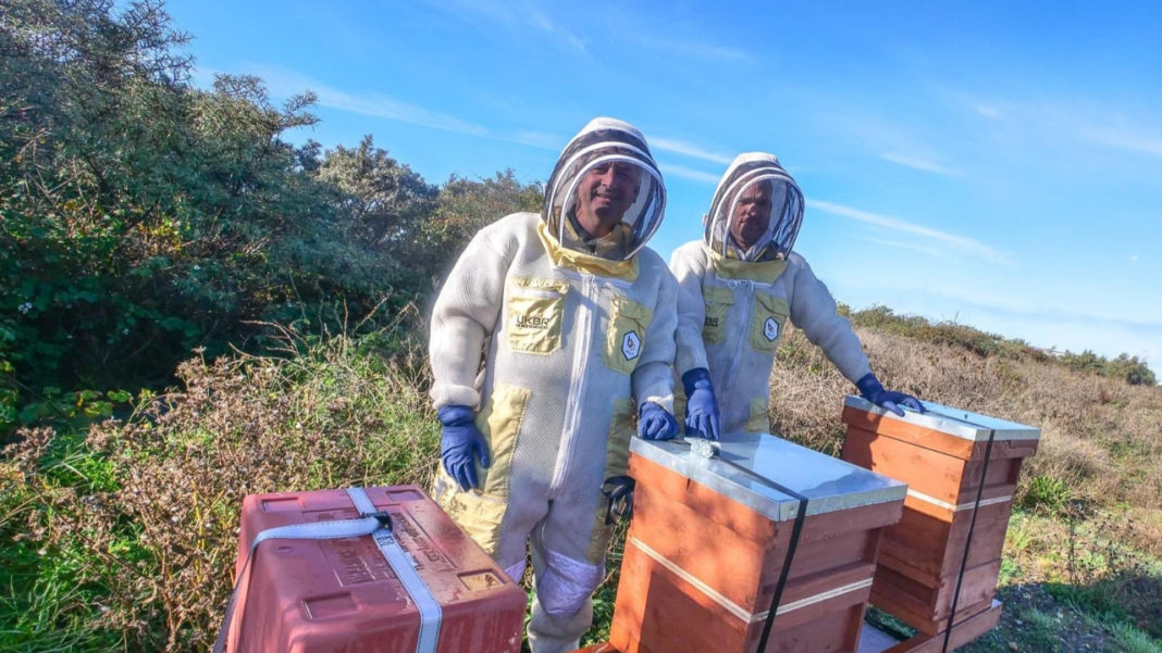Scott Bros Offer ‘Foster Home’ For Rescued Bees - Business Mondays