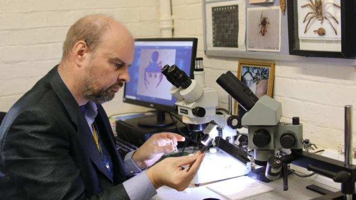 Moreton Morrell College arachnologist named on review board of major ...
