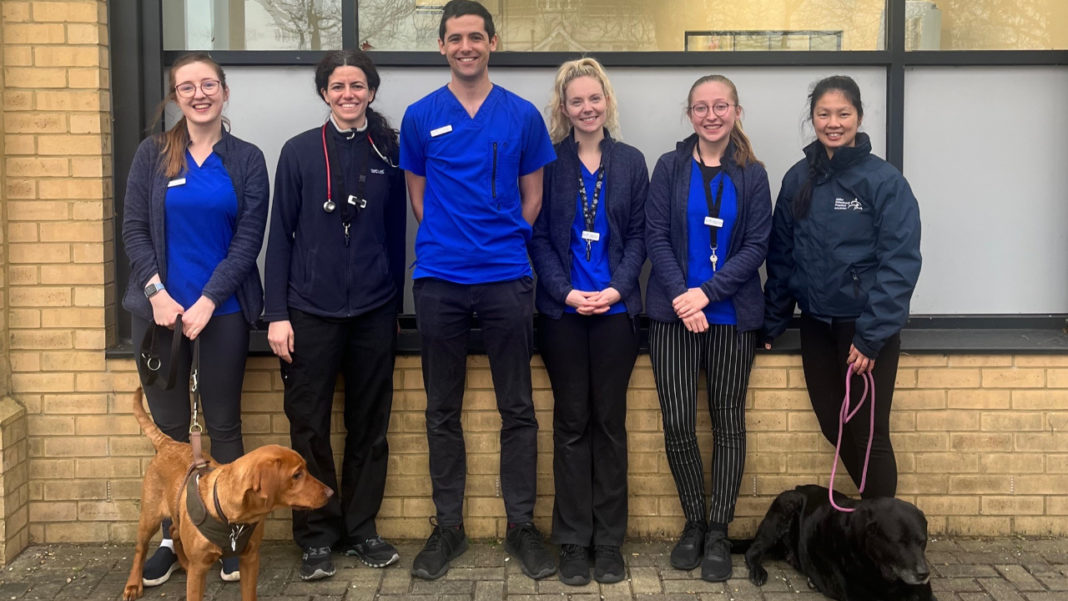 Six of the best as new appointments made at £1.4m Guildford vet ...