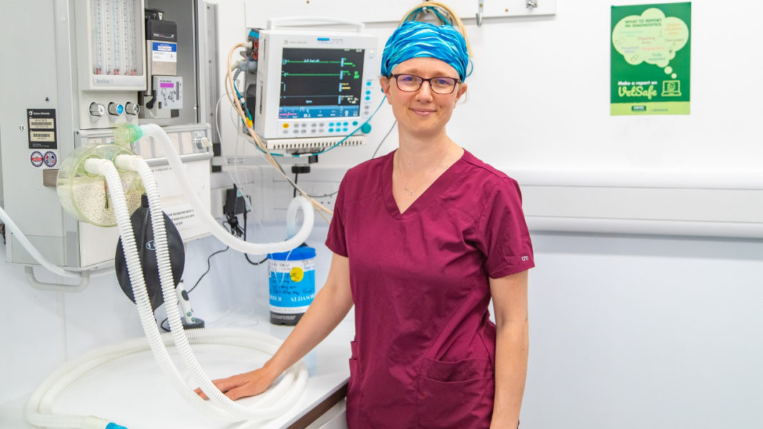 Linnaeus veterinary specialists admitted to prestigious RCVS Fellowship ...