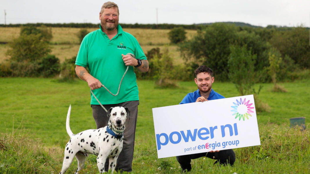 County Down animal sanctuary awarded Power NI funding - Business Mondays