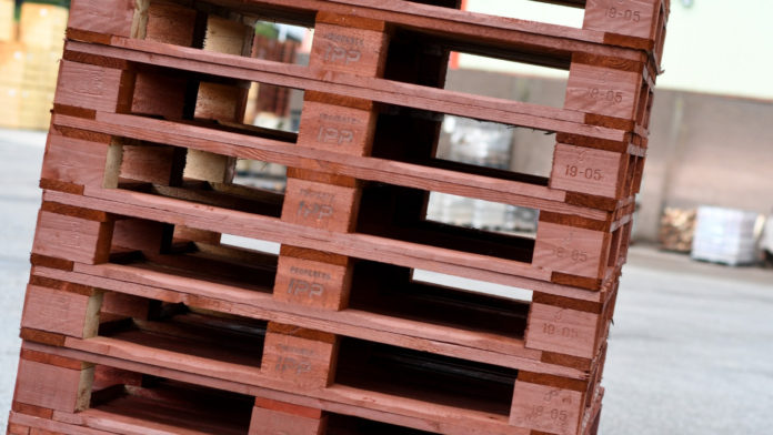 New Appointment To Deliver Growth For IPP In UK - Business Mondays