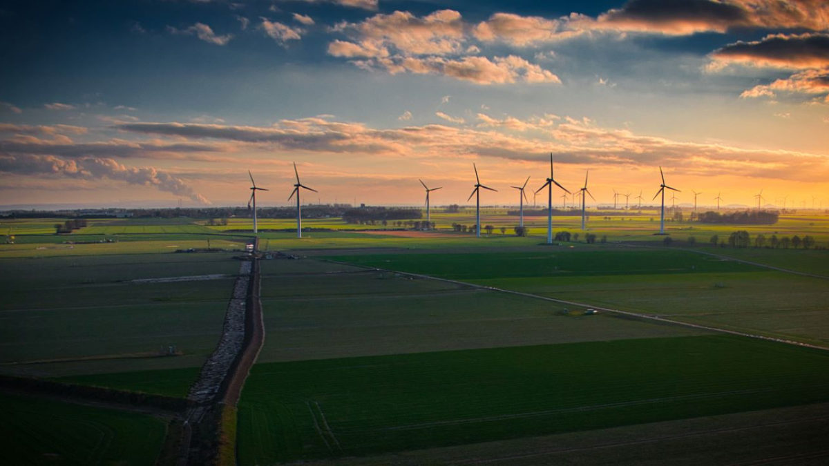 Palatine's decarbonisation target recieves international validation ...
