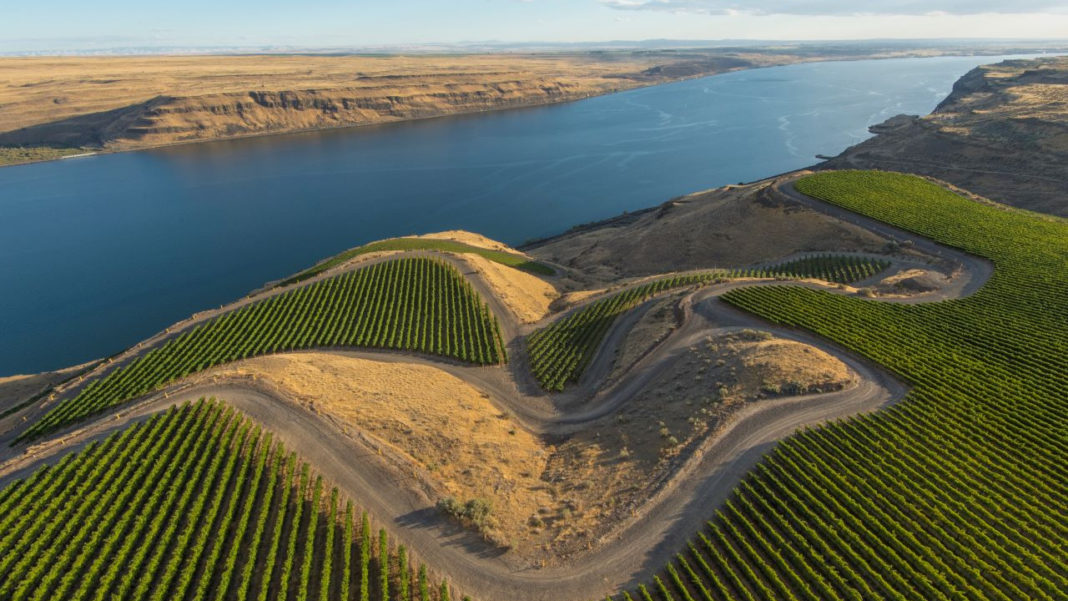 Washington State Wine Commission unveils wine tourism initiative with ...