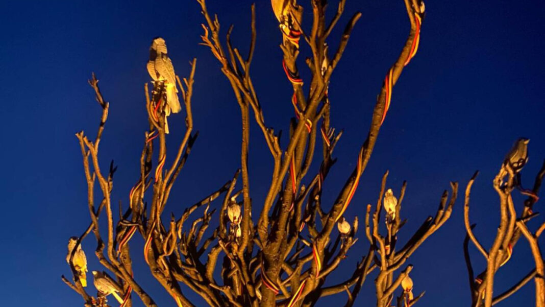 Autumn sound and fire installation to wow Tintern Abbey visitors ...