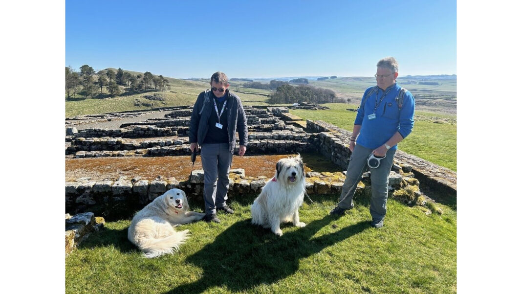 Dogs ‘Lead’ Recruitment Drive for Additional Hadrian’s Wall Volunteers ...