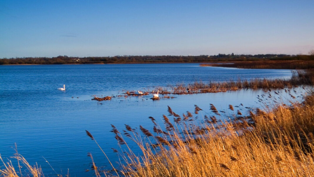 'Connected Landscapes: How Your Local River Impacts Lough Neagh ...