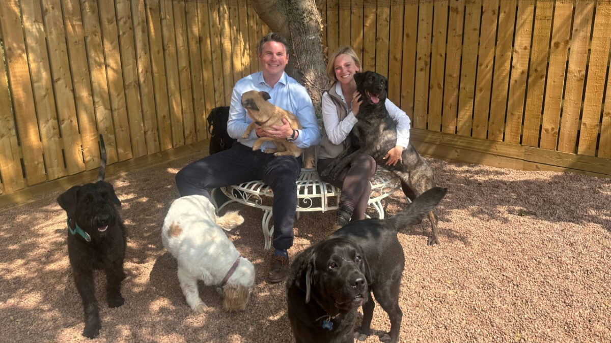 Dog daycare centre gets tails wagging by opening doors to new Bradford ...