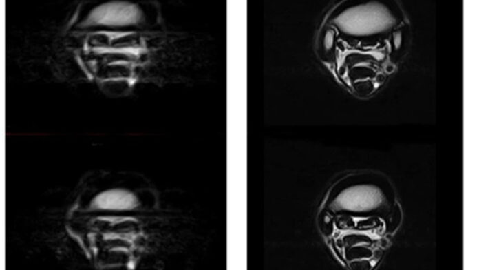 Hallmarq hails transformational equine imaging technology - Business ...
