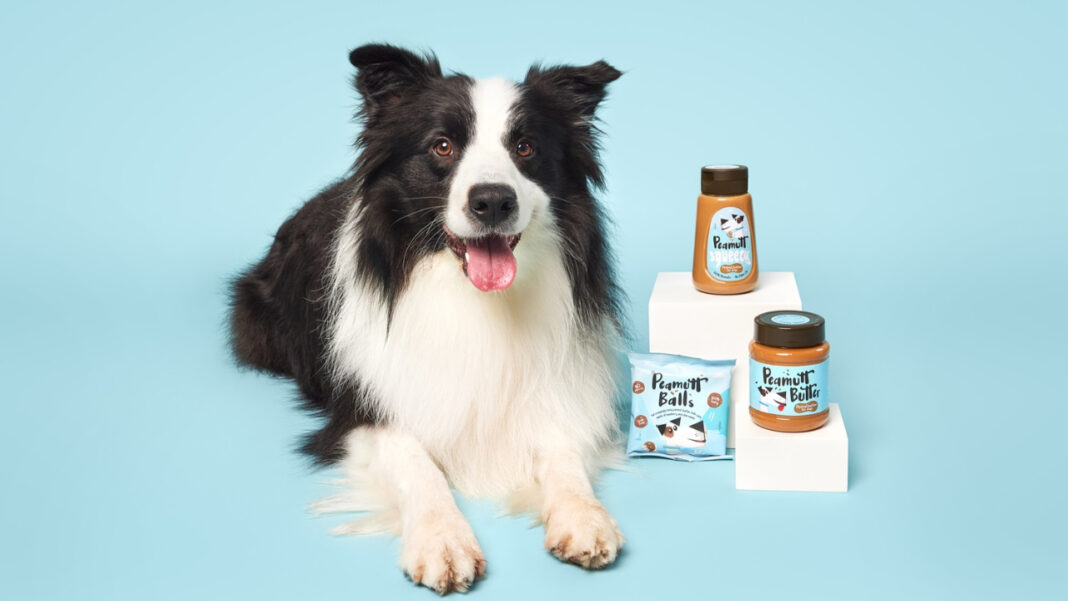 Liverpool collie becomes famous face of Peamutt Butter and hits stores ...