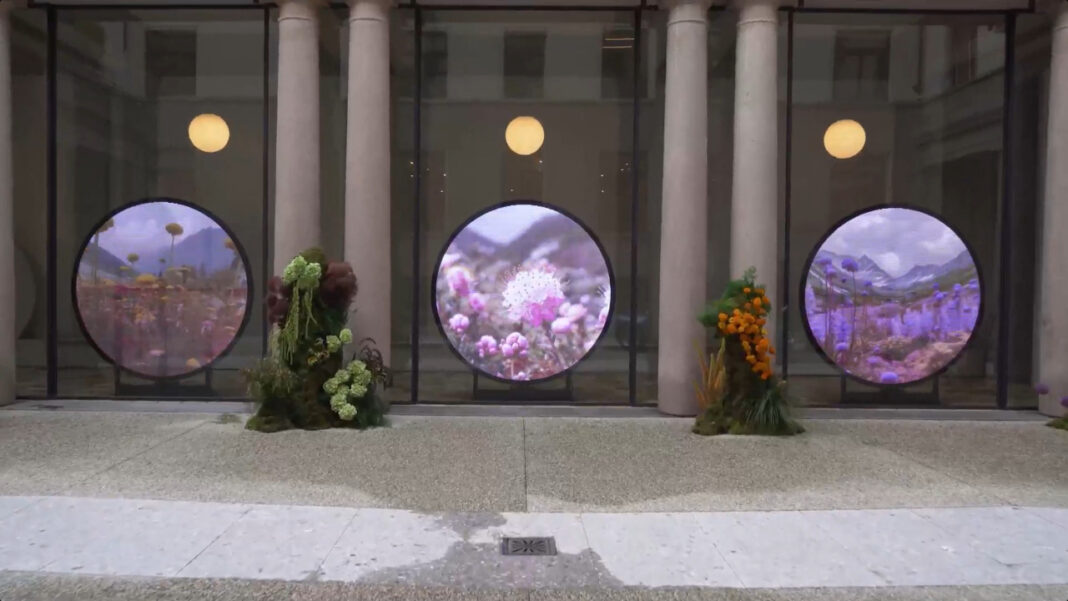 M-Cube partners with Soho House Cities Without Houses to create premium ...