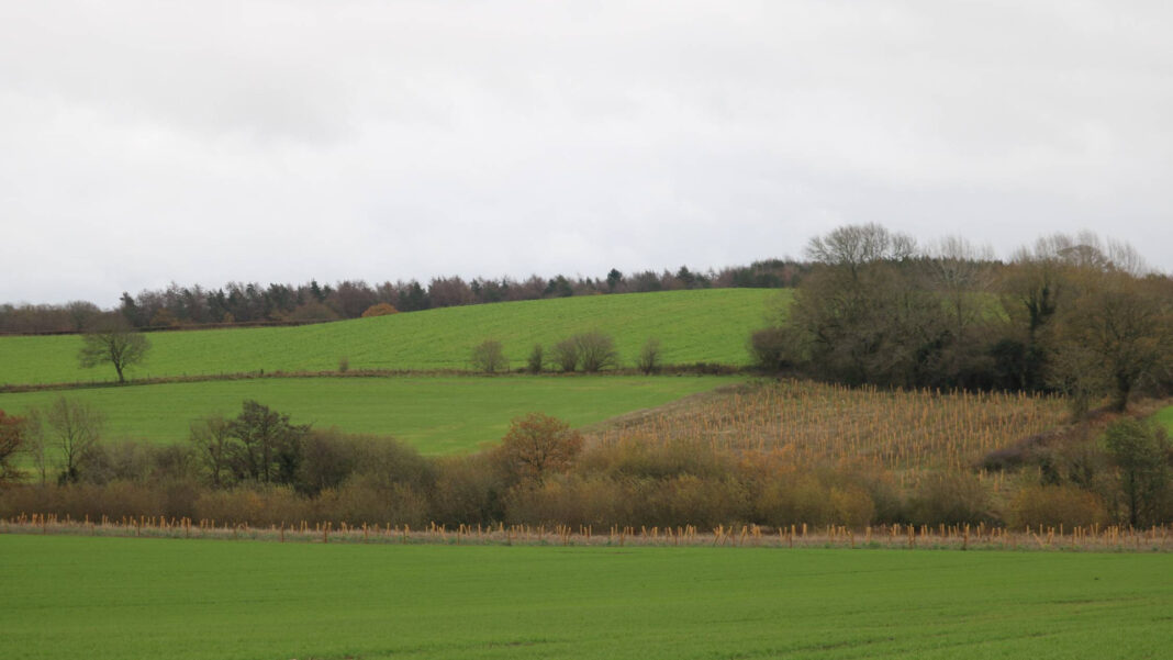 Harper Adams students visit Bradford Estates' woodland creation project ...